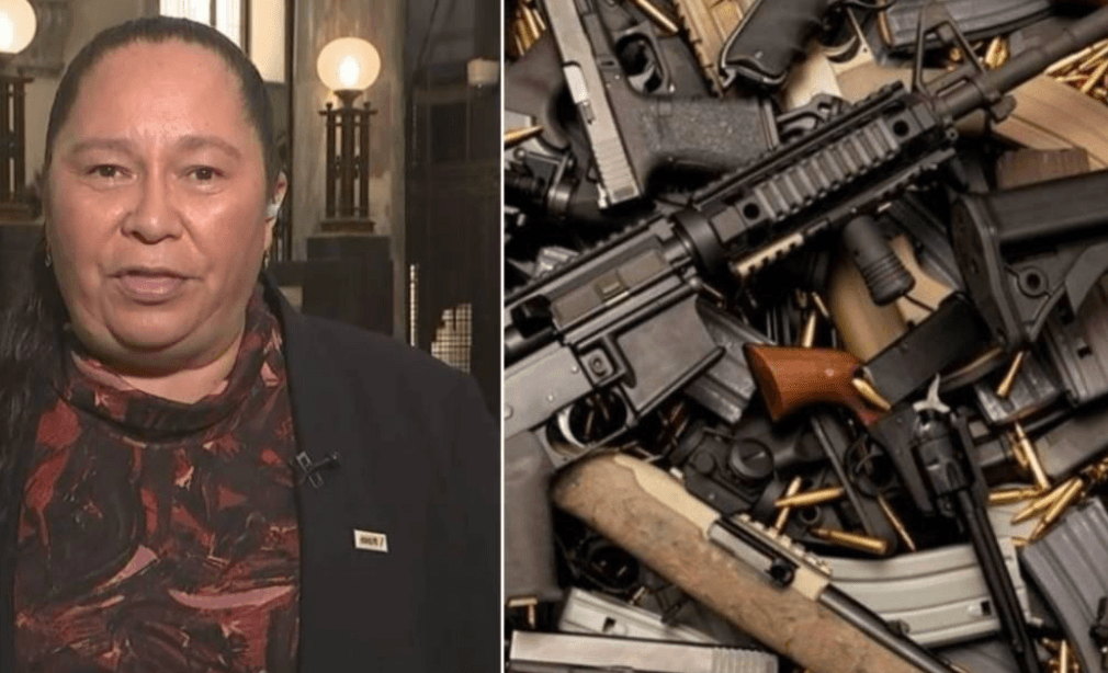 New Gun Owner Guidelines Now Effective – The Daily Examiner